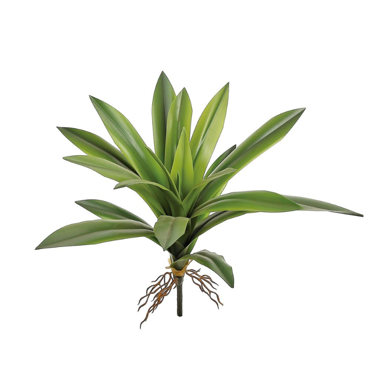 Yucca Plant - 19.5" — bfearless. at HOME