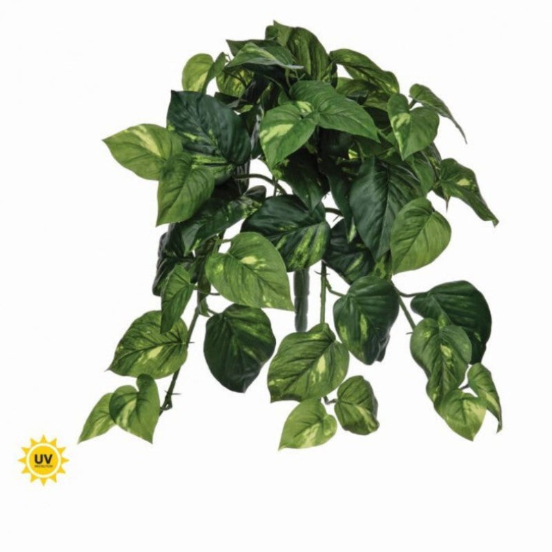 Pathos Plant Bush, UV Proof - 19" — bfearless. at HOME