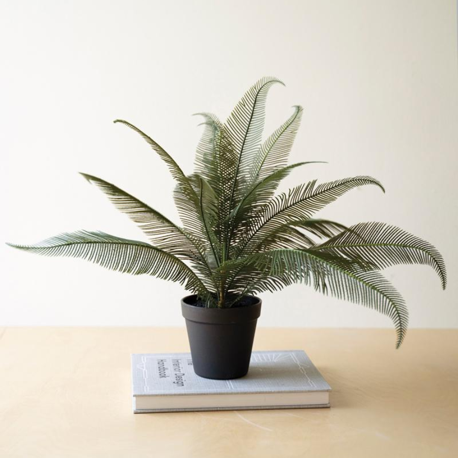 Potted Phoenix Plant - 16" — bfearless. at HOME
