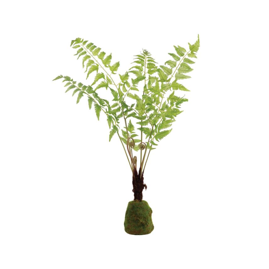 35" Fern Plant Wrapped in Moss — bfearless. at HOME