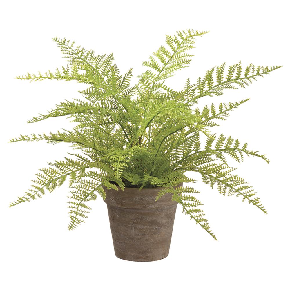 Soft Fern in Paper Mache Pot - 12" — bfearless. at HOME